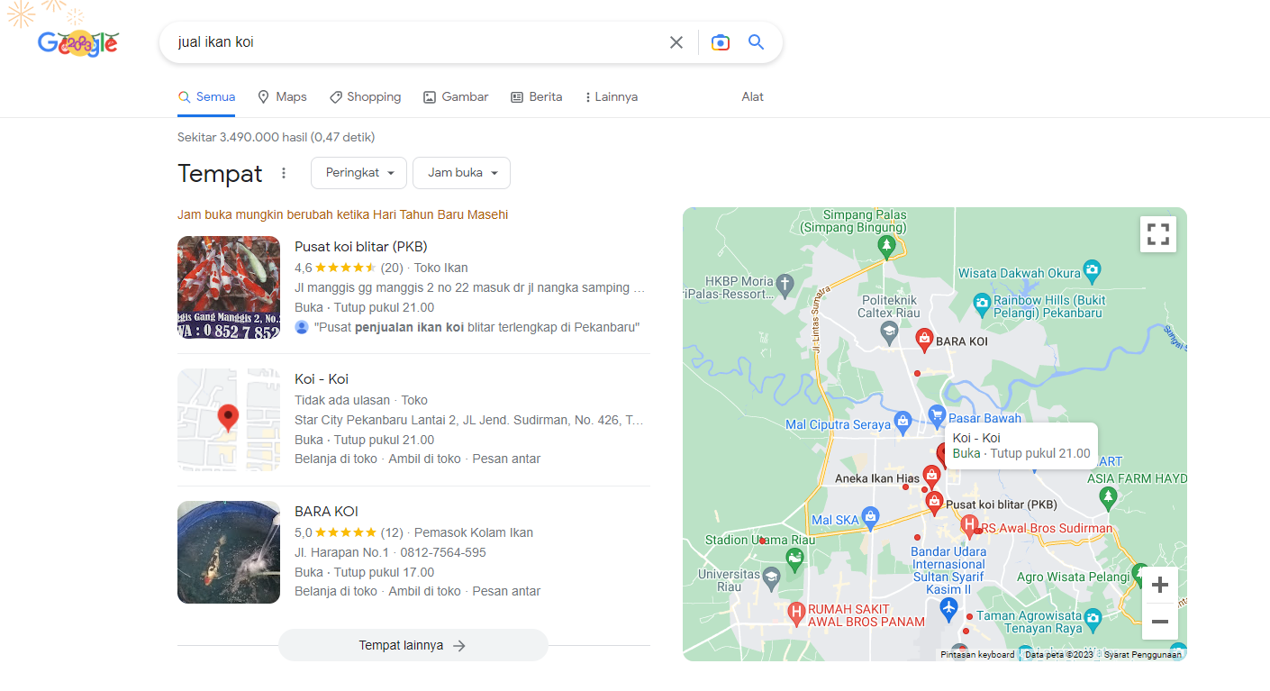 Apa itu SERP, Penjelasan Lengkap! - Pram Eko